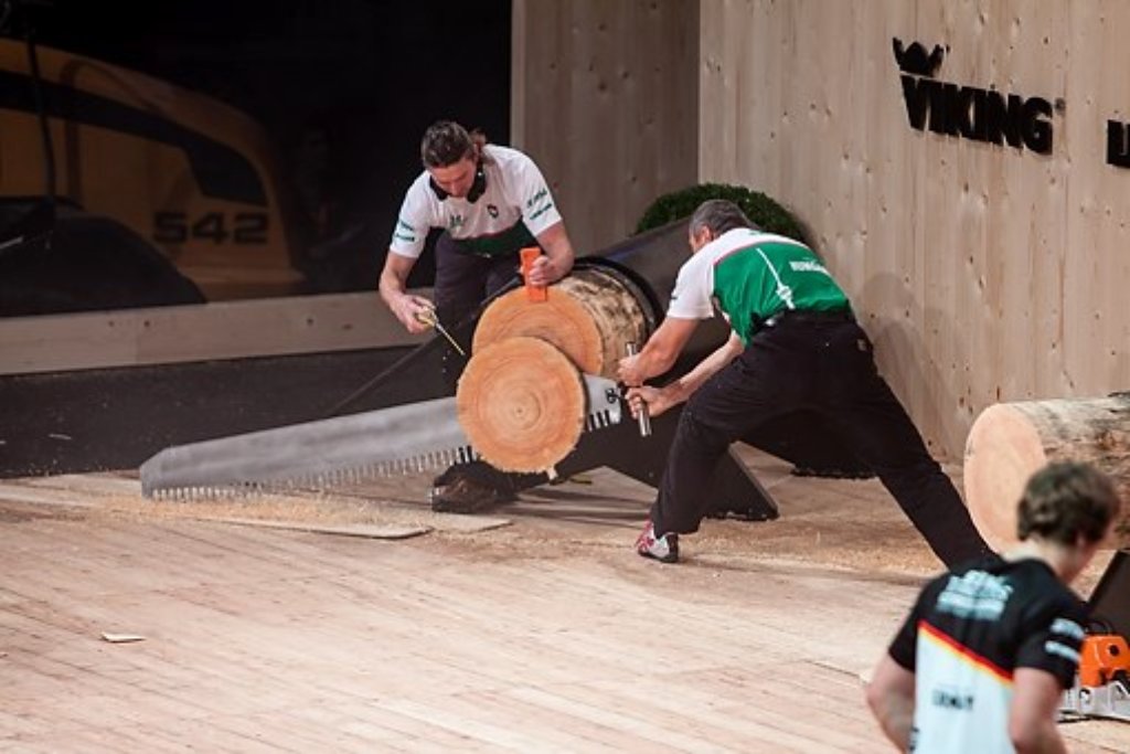 Porsche Arena Timbersports
