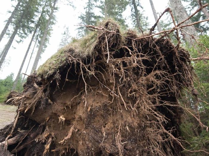 Sitzung in Zillhausen: Sturm und Sirene beschäftigen den Rat - Balingen ...