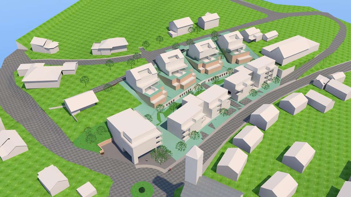 Investor aus Dubai: In Zillhausen soll ein neues Wohngebiet entstehen ...