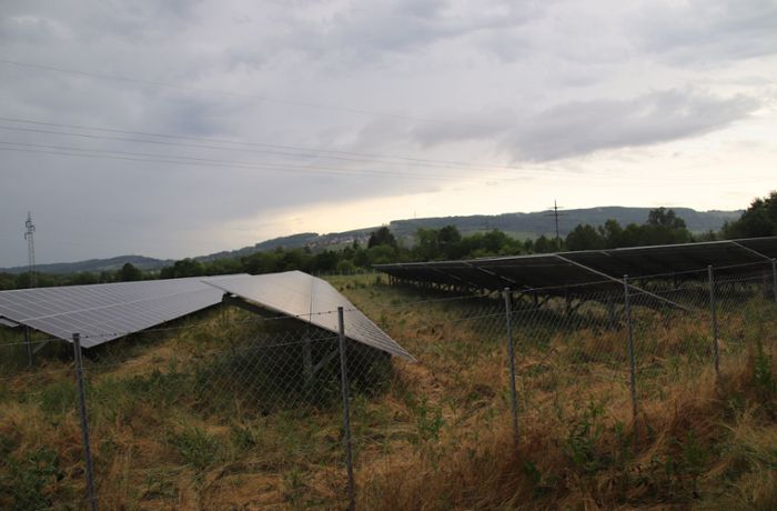Eimeldingen: Von der Sonne gewärmt - Rebland - Schwarzwälder Bote