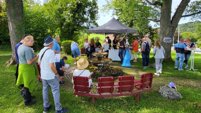 50 Jahre Balingen: Zillhausen zum Finale im Fokus - Balingen ...