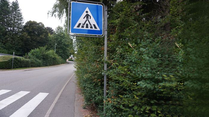 Hindernis Im Verkehr