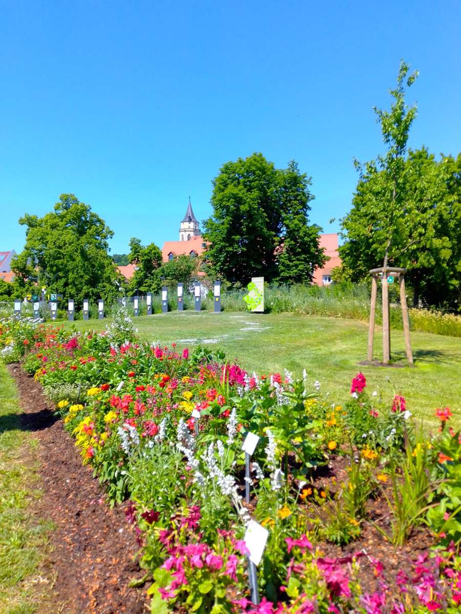 Bilder Von Tuev Balingen